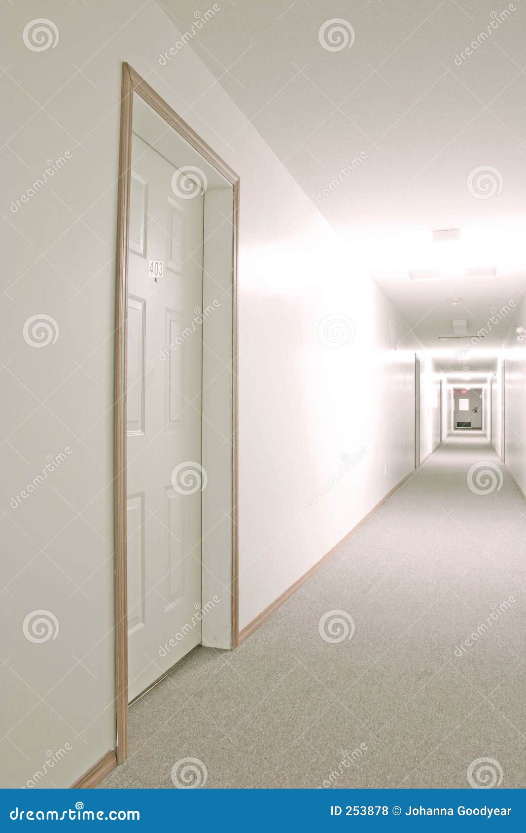Hallway stock photo. Image of interior, disturb, closed - 253878