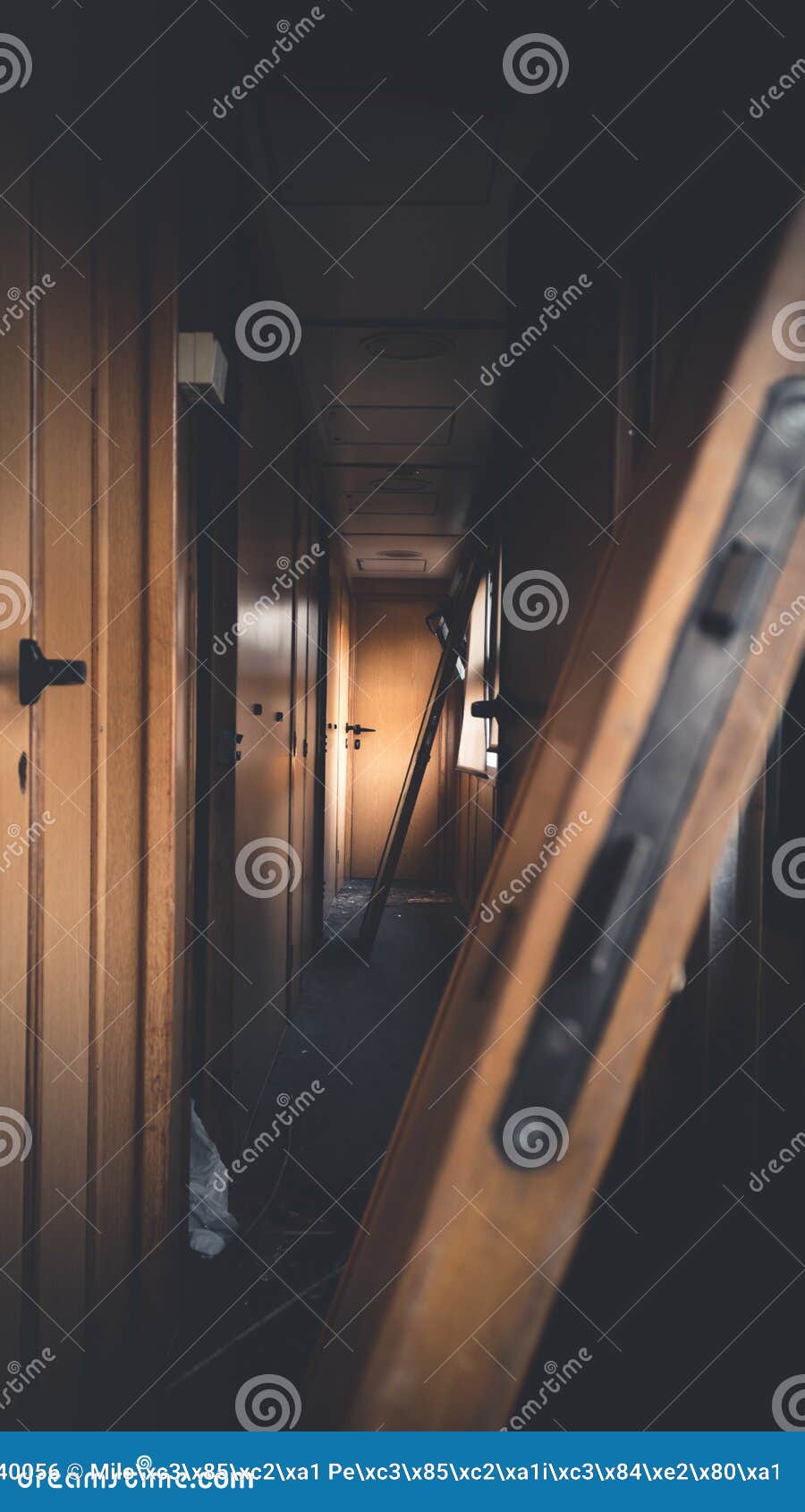 Hallway of an Abandoned Building Stock Photo - Image of building ...