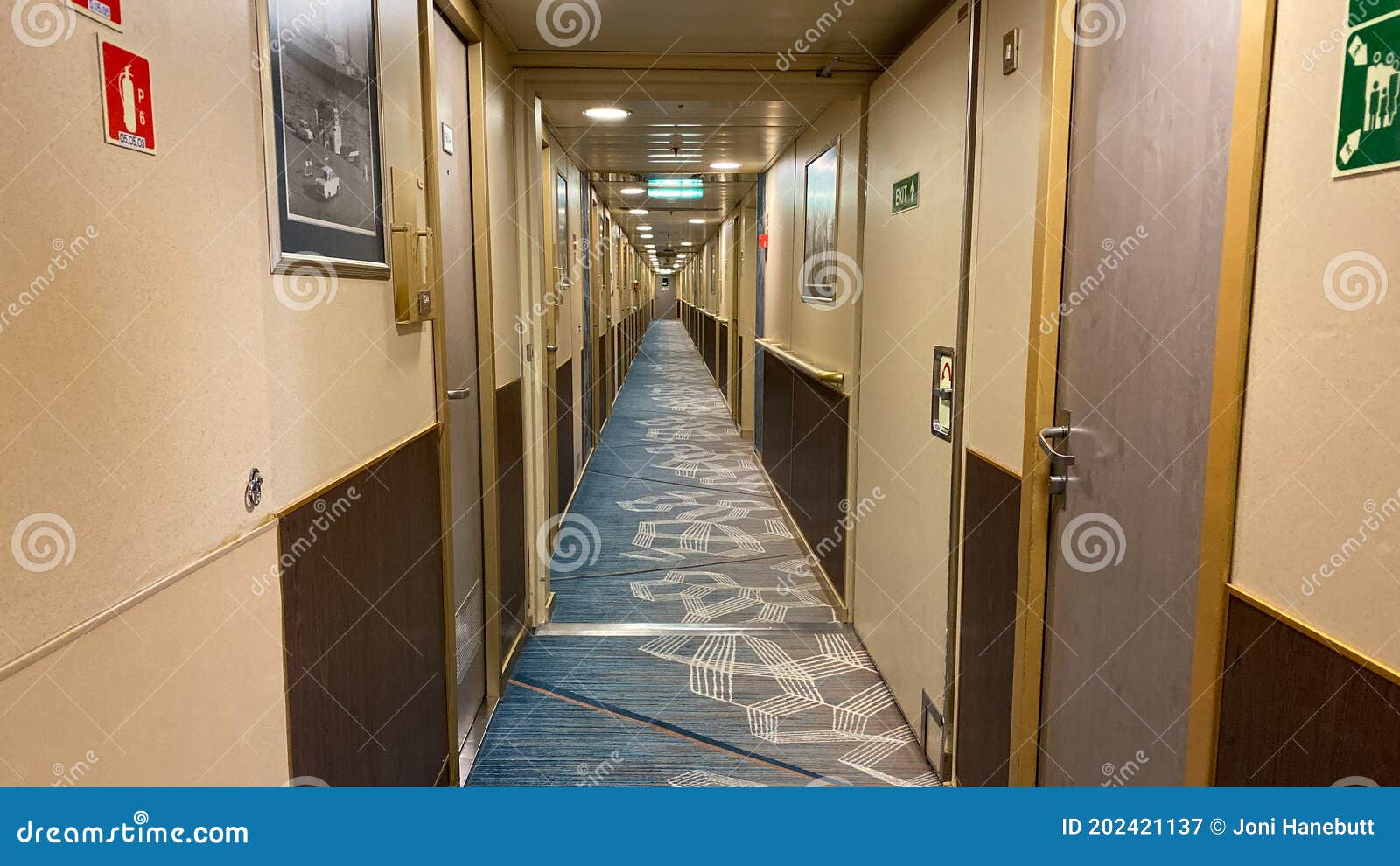 A Hallway on a Cruise Ship with Blue Geometric Patterned Carpet ...