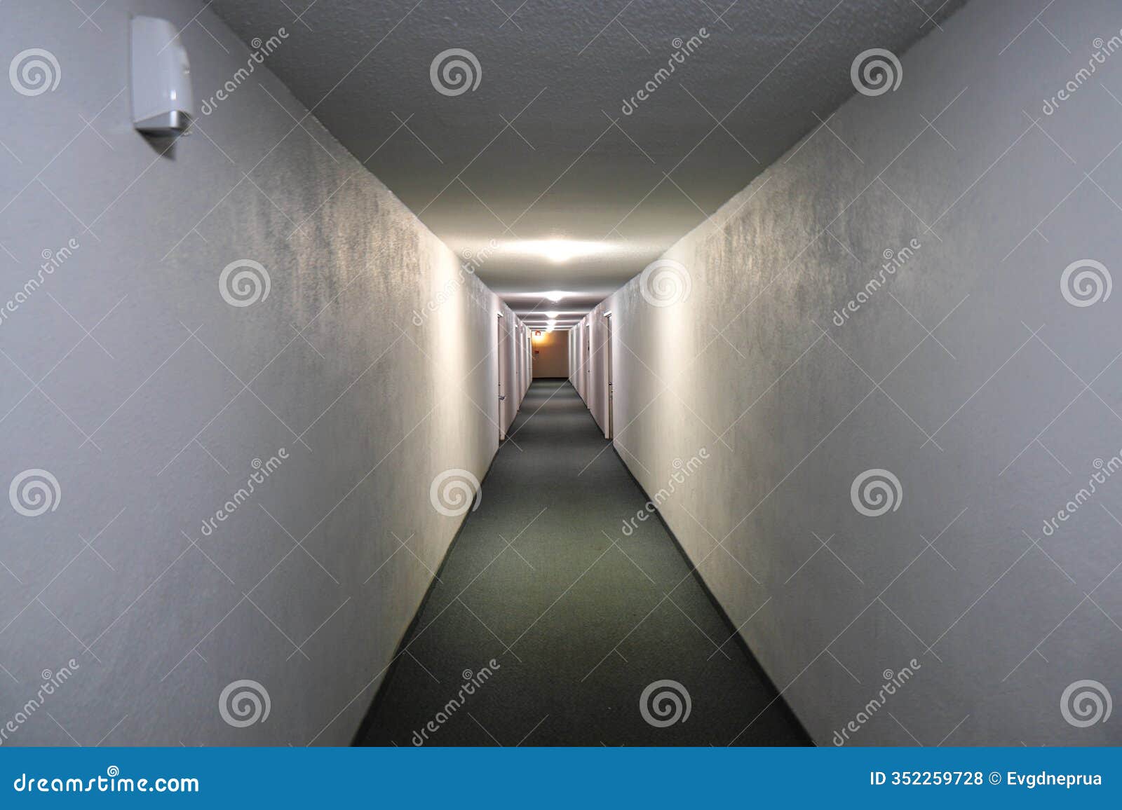 Hallway with Doors in an Apartment Building Stock Photo - Image of ...