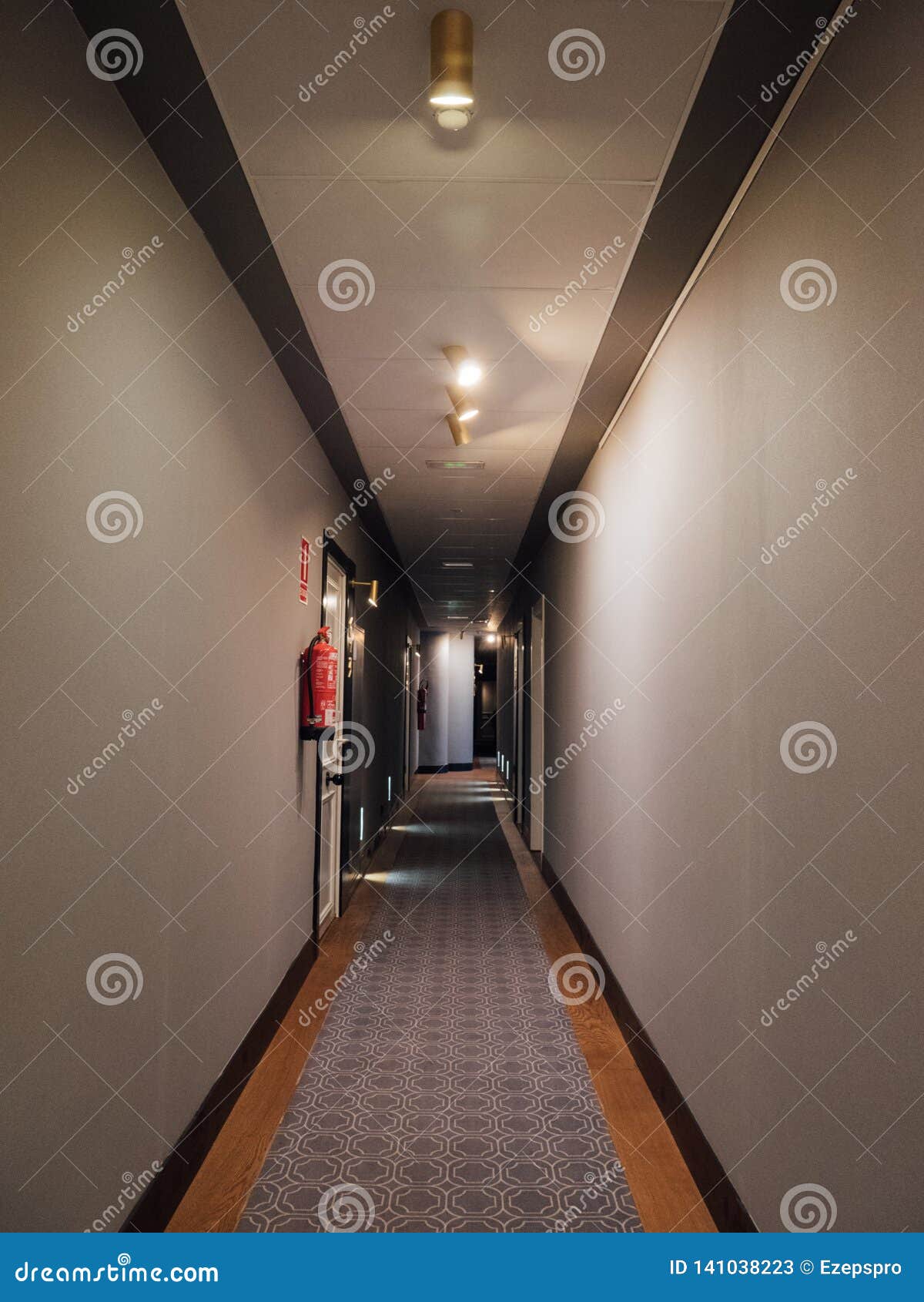 Hallway with Luxury Hotel Rooms Stock Image - Image of carpet, building ...