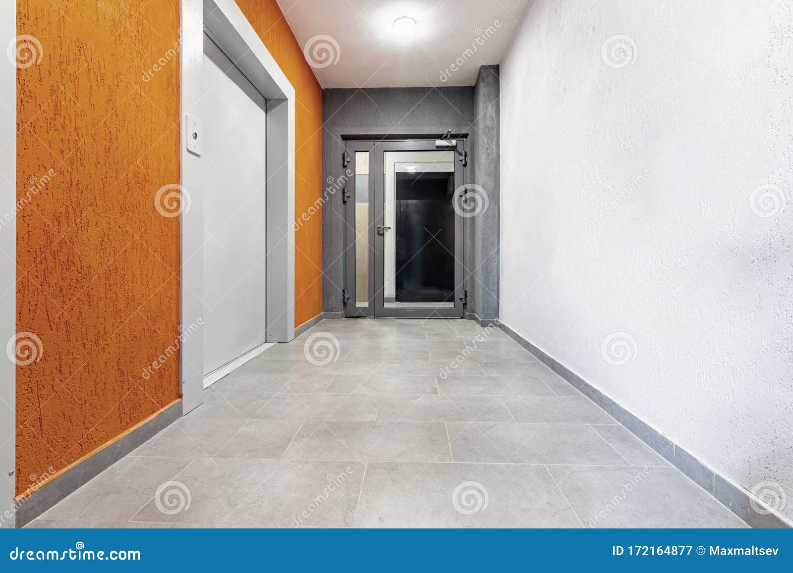 Hallway with Many Doors. Perspective Wide Angle. Nobody Inside. Stock ...