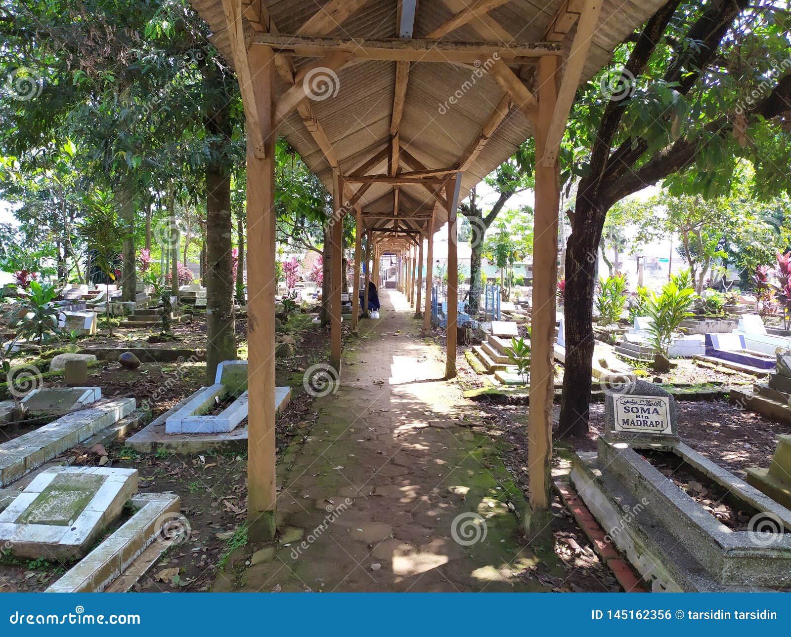 The hallway editorial photo. Image of forest, roof, nature - 145162356
