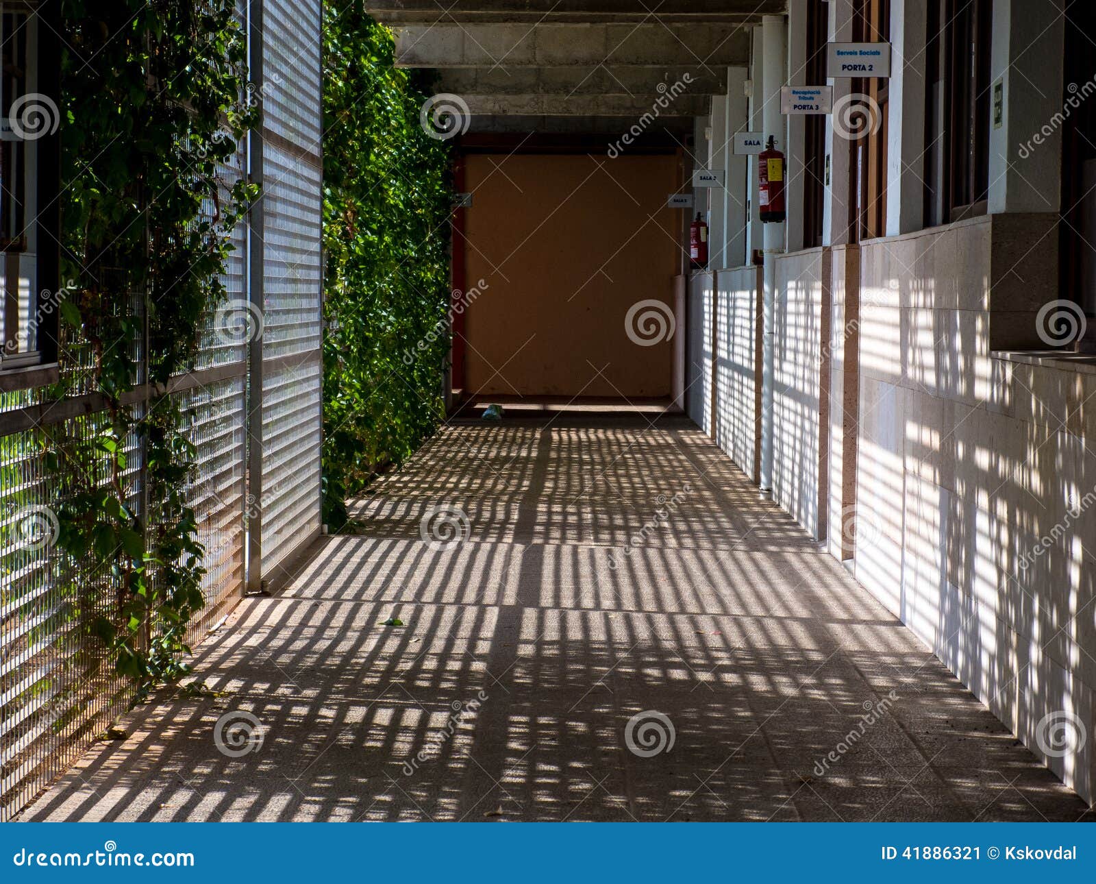 Hallway with Shadows Casted Stock Image - Image of happiness, create ...