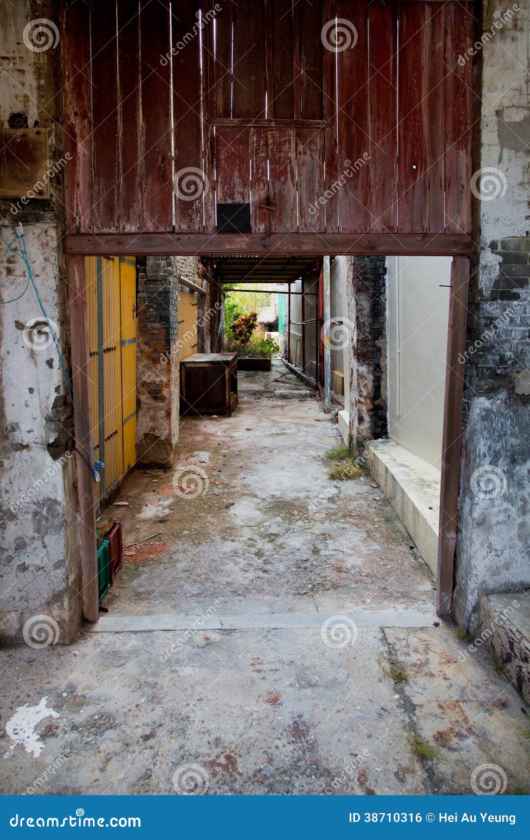 Hallway of a wasted house stock photo. Image of table - 38710316