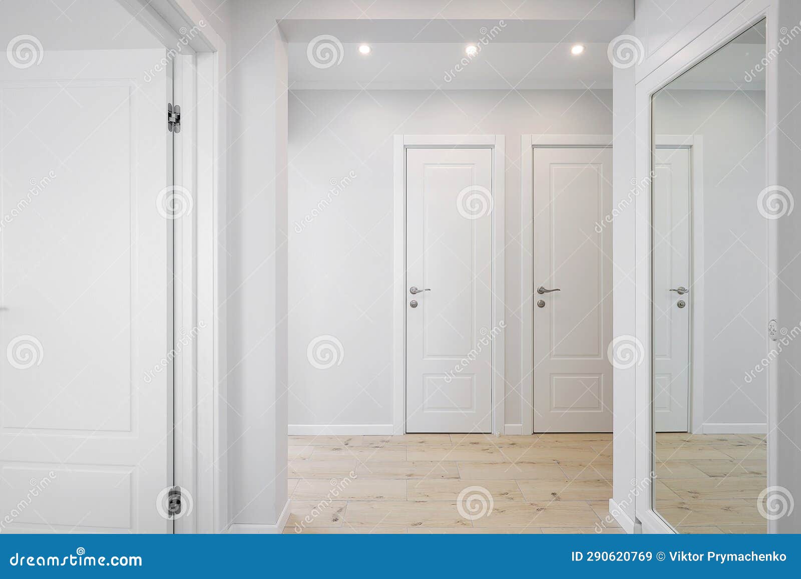 Hallway with White Interior Doors in the Interior Stock Image - Image ...