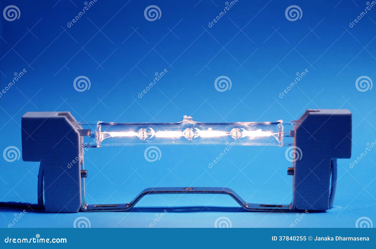 HalogenÂ Bulb stock image. Image of intelligence, reflection - 37840255