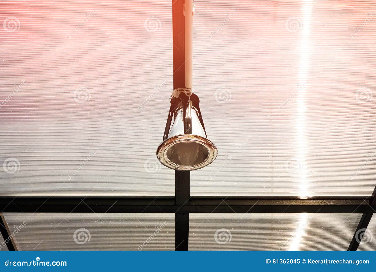 Halogen Bulbs Ceiling Lamps Lighting with Soft Warm Colour Tone Stock ...