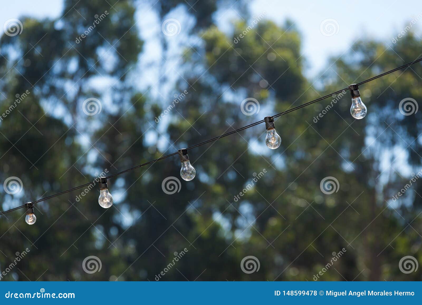 Halogen Bulbs Lit in Broad Daylight Stock Photo - Image of daylight ...
