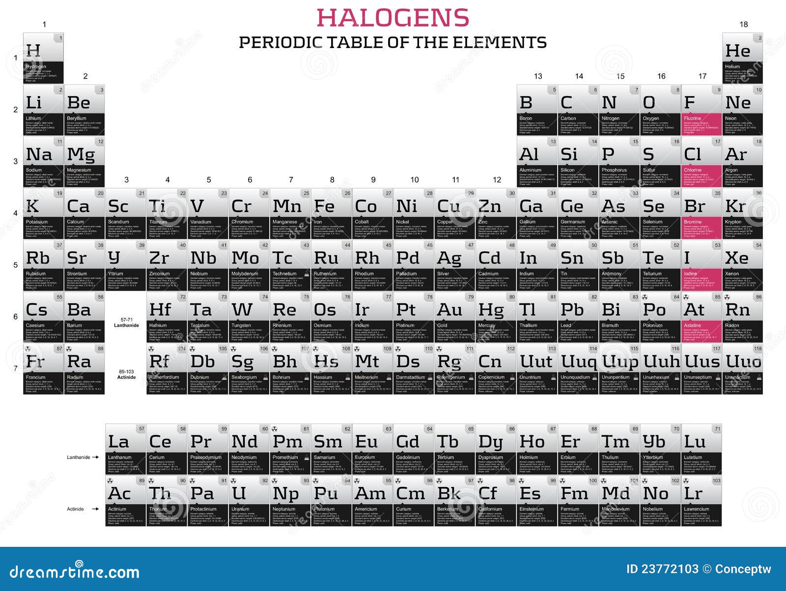 Halogens series stock illustration. Illustration of informations - 23772103