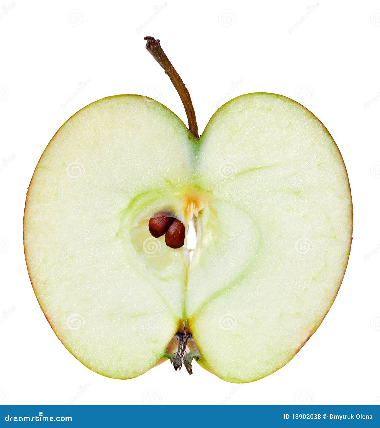 Halve appel stock foto. Image of smakelijk, voedzaam - 18902038