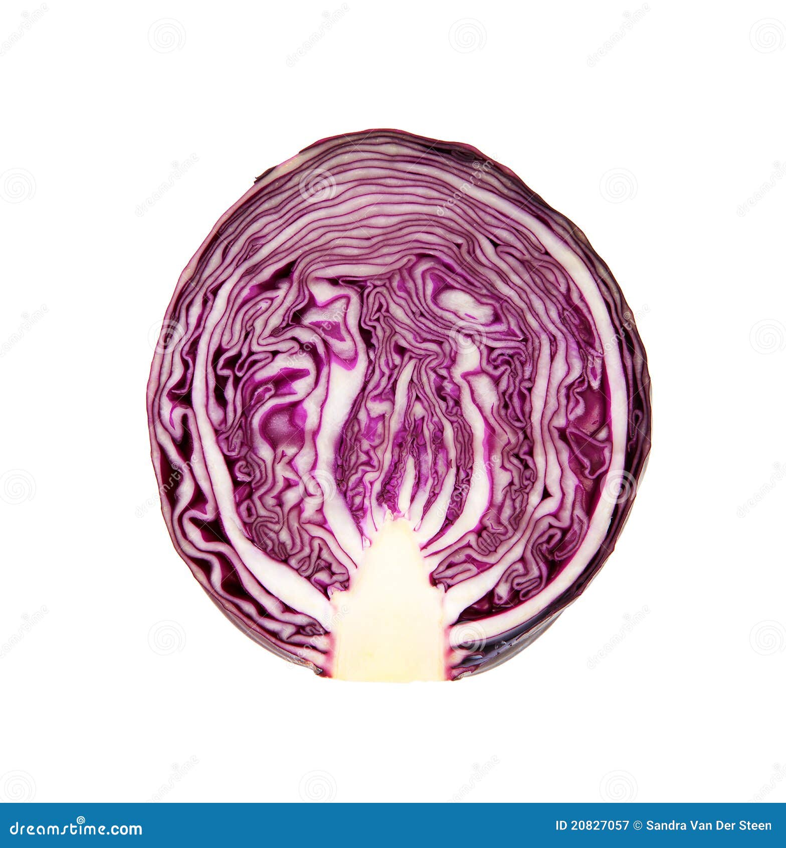 Halve rode kool stock afbeelding. Image of gewerveld - 20827057