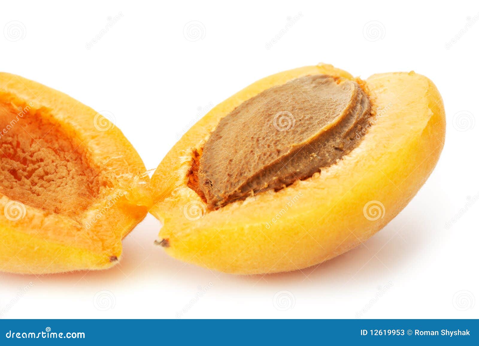 Halved Apricot stock image. Image of apricot, fruit, food - 12619953