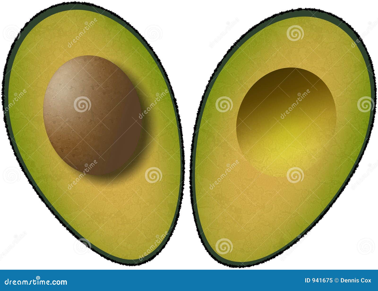 Halved avocado stock illustration. Illustration of open - 941675