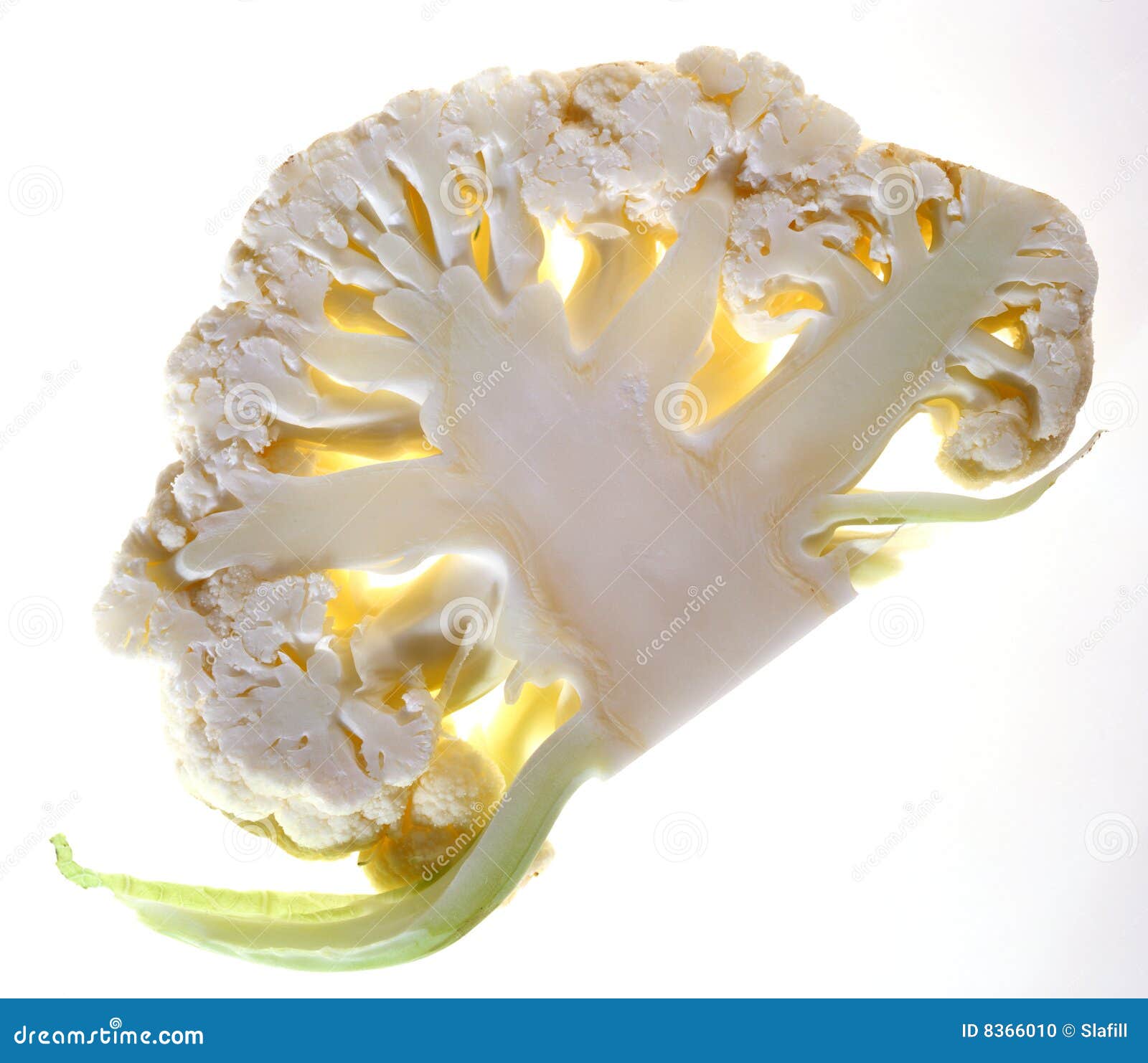 Halved cauliflower stock photo. Image of halves, halved - 8366010