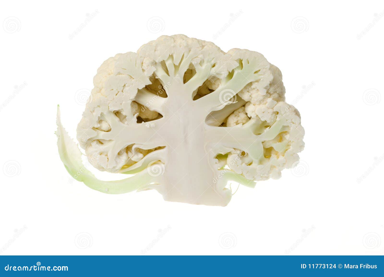 Halved cauliflower head stock photo. Image of ingredient - 11773124