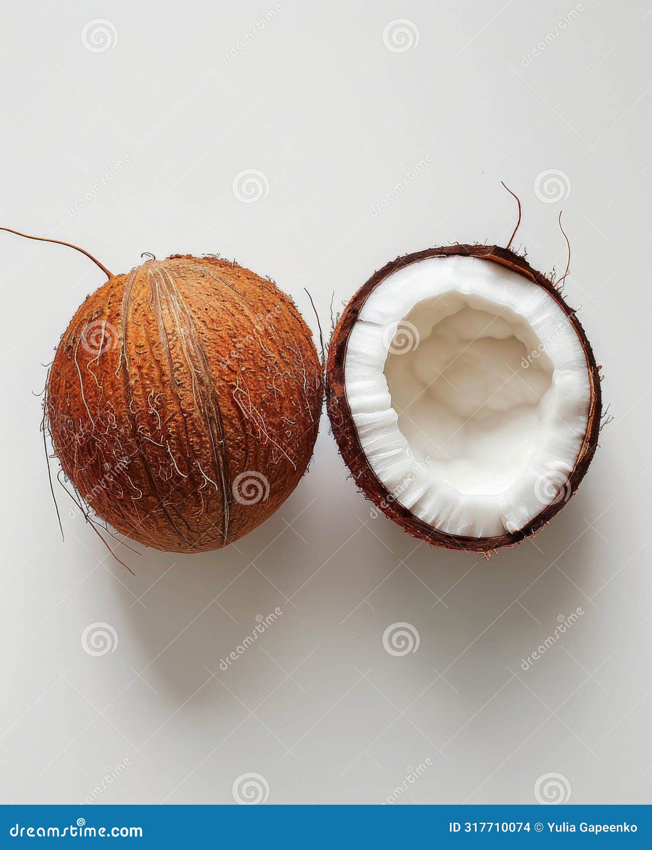 Halved Coconut on Table stock photo. Image of palm, shell - 317710074