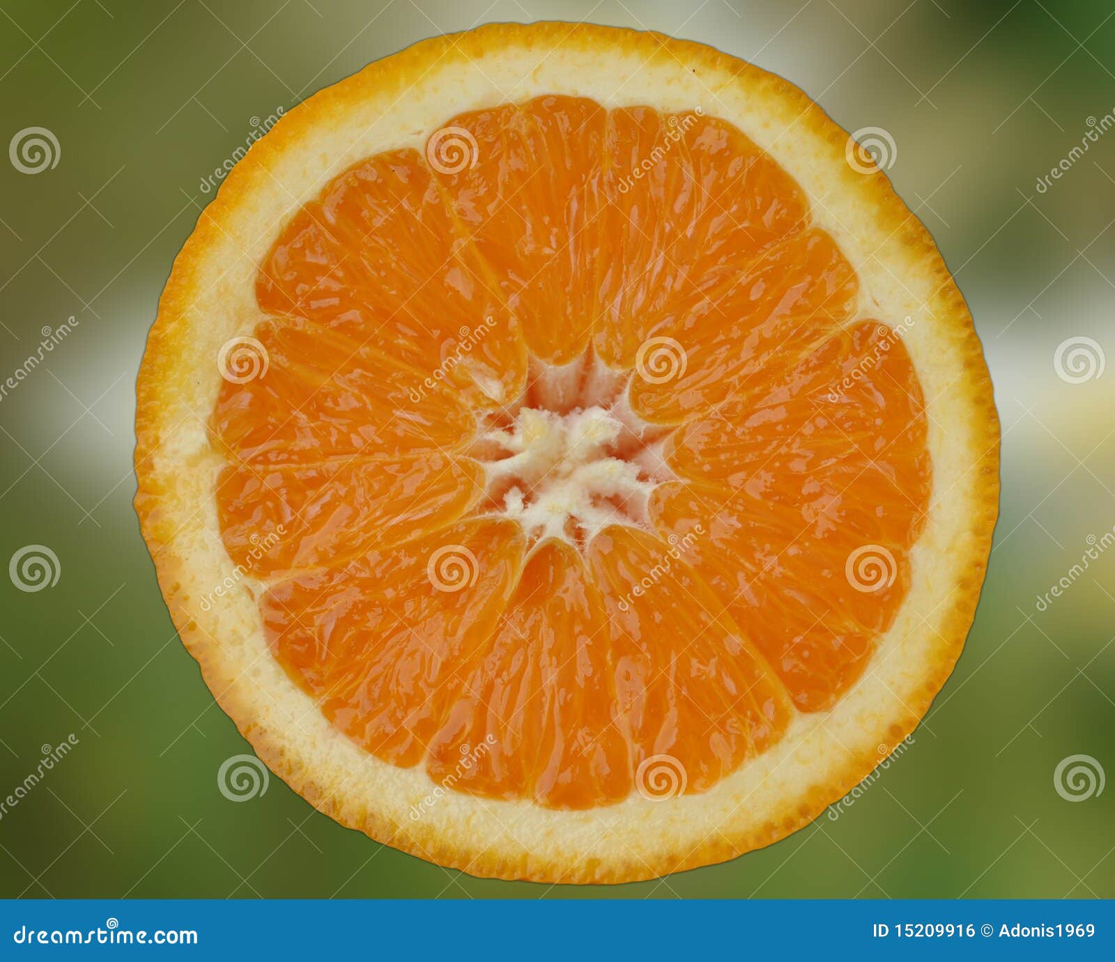 Halved fresh orange stock photo. Image of rind, colourful - 15209916