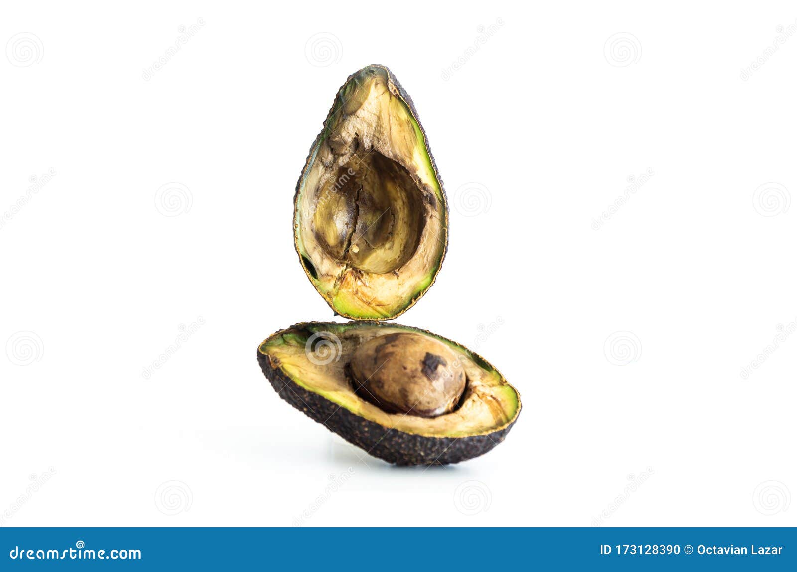 Halved Rotten Spoiled Avocado Fruit and Seed Macro Close Up Shot ... Halved Rotten Spoiled Avocado Fruit and Seed Macro Close Up Shot ...