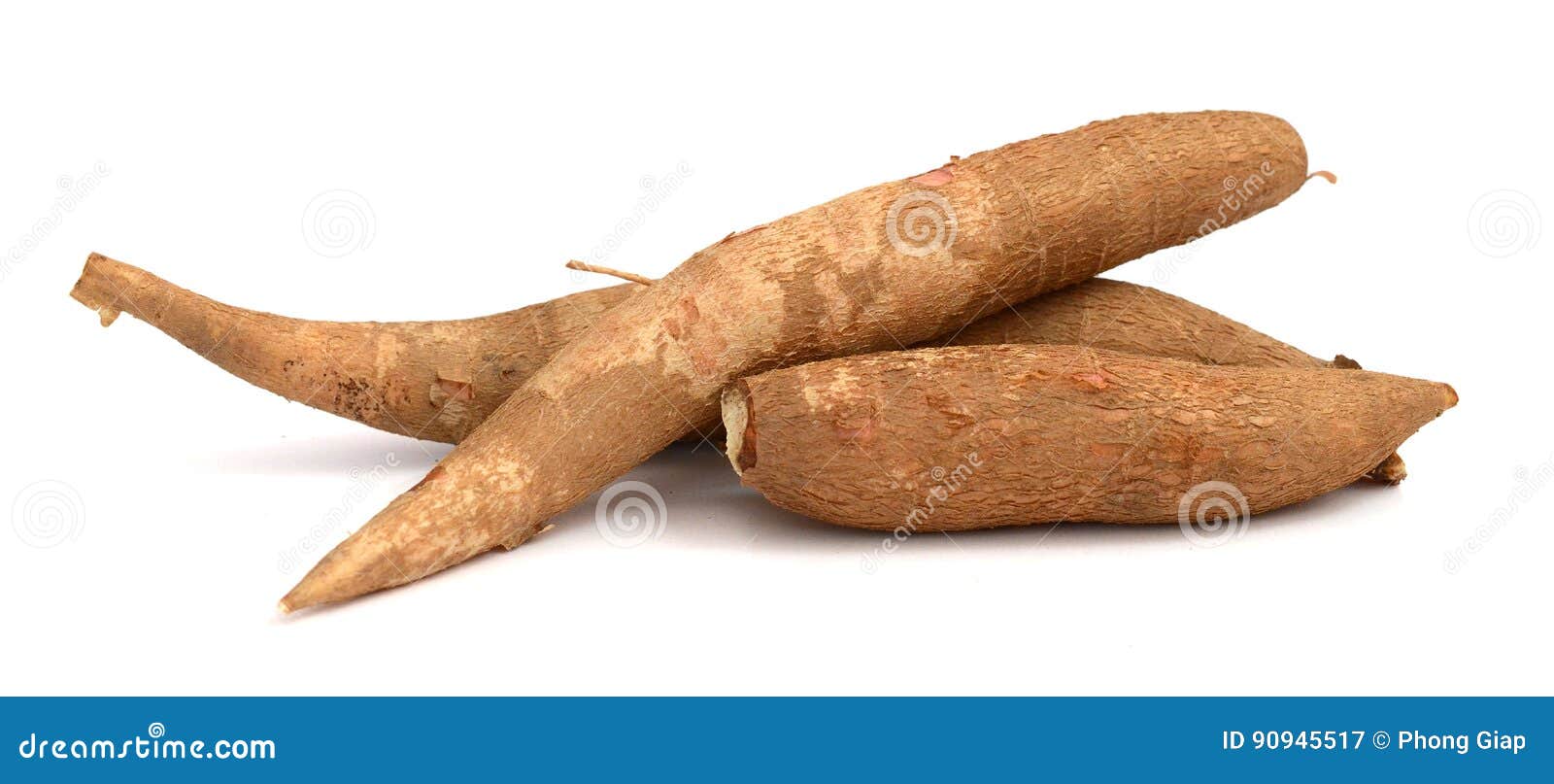 Halved Yuca Root stock image. Image of shell, leafy, yuca - 90945517