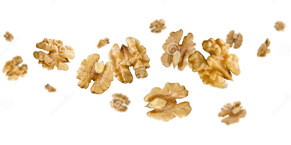 Halves of Walnut Kernels Fly and Levitate in Space. Isolated on White ...
