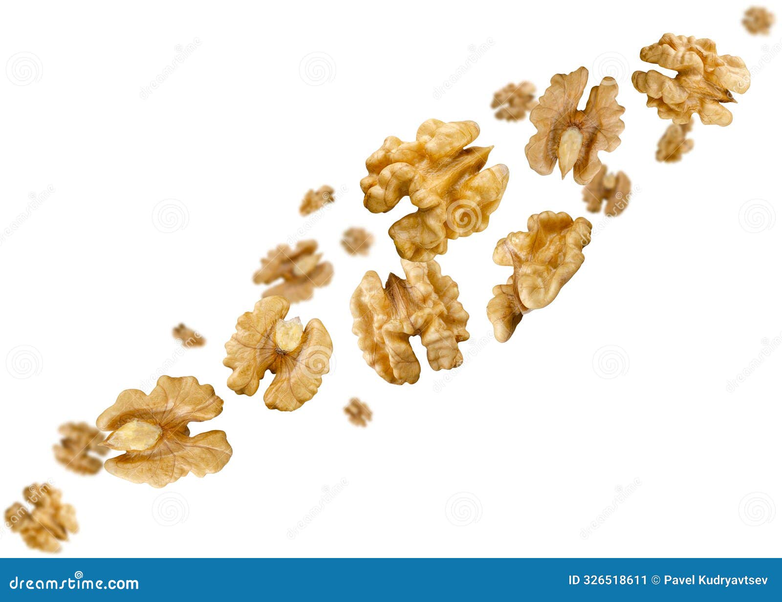 Halves of Walnut Kernels Fly in Space Forming a Chain Shape. Isolated ...
