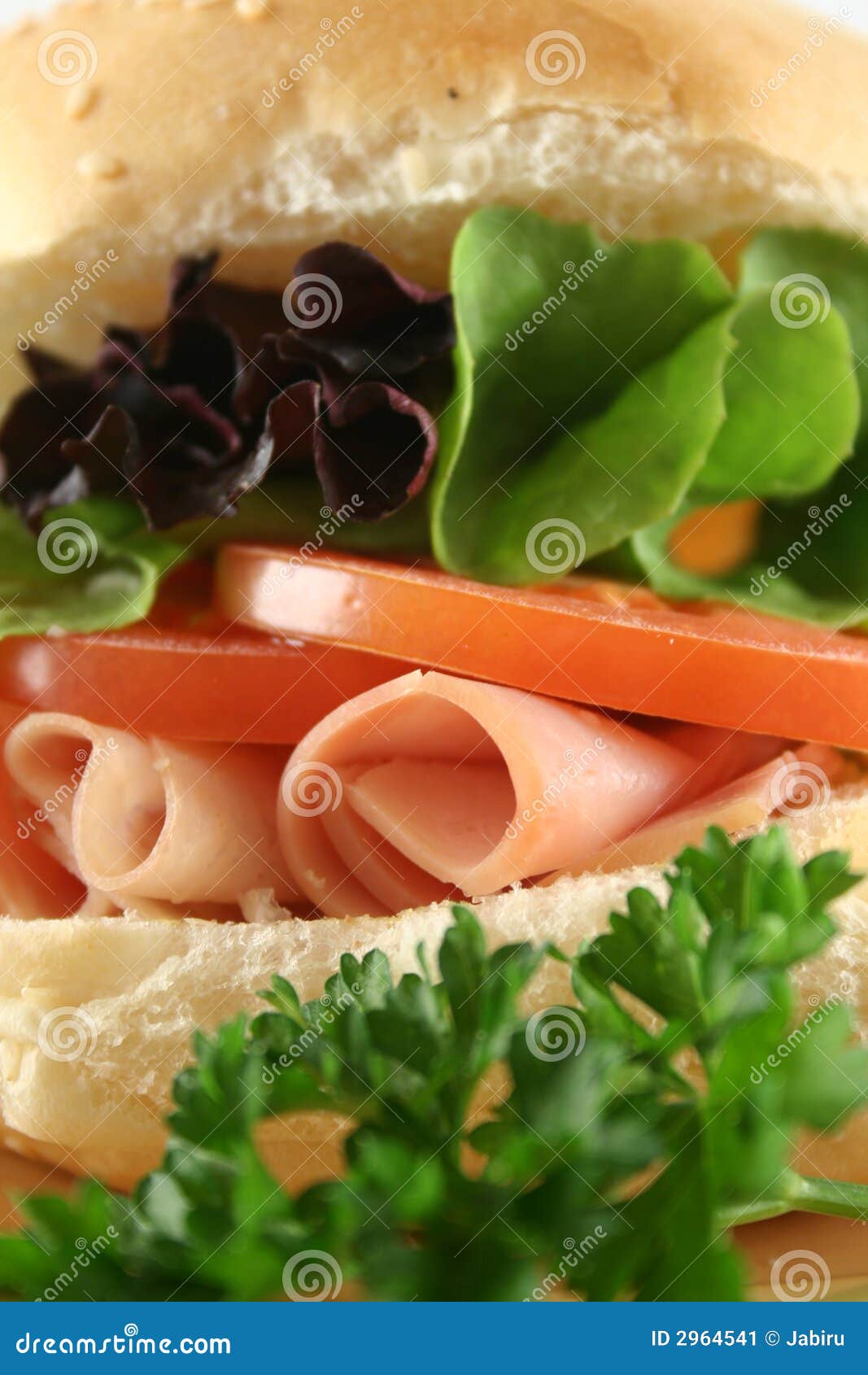 Ham and Salad Roll 7 stock image. Image of fresh, bread - 2964541