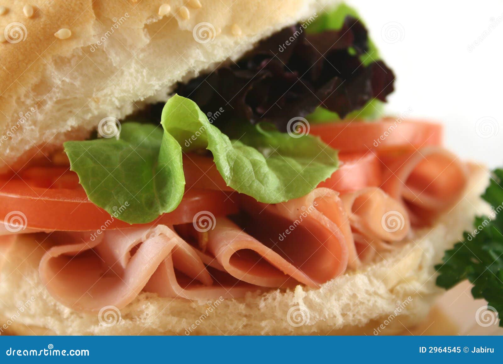 Ham and Salad Roll 8 stock image. Image of healthy, parsley - 2964545