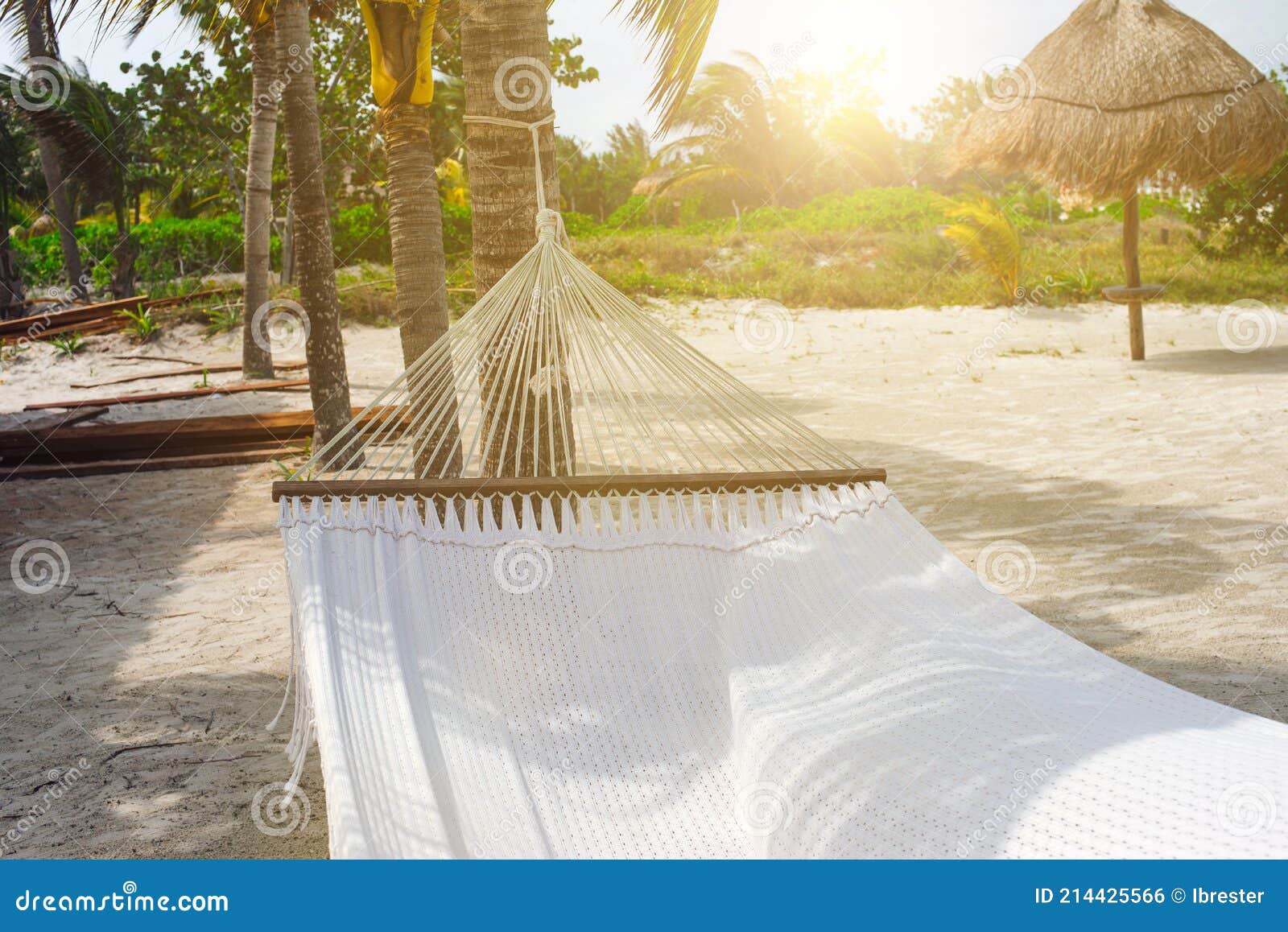 Hamac Blanc Sur La Plage. Holbox Mexico Photo stock - Image du ...