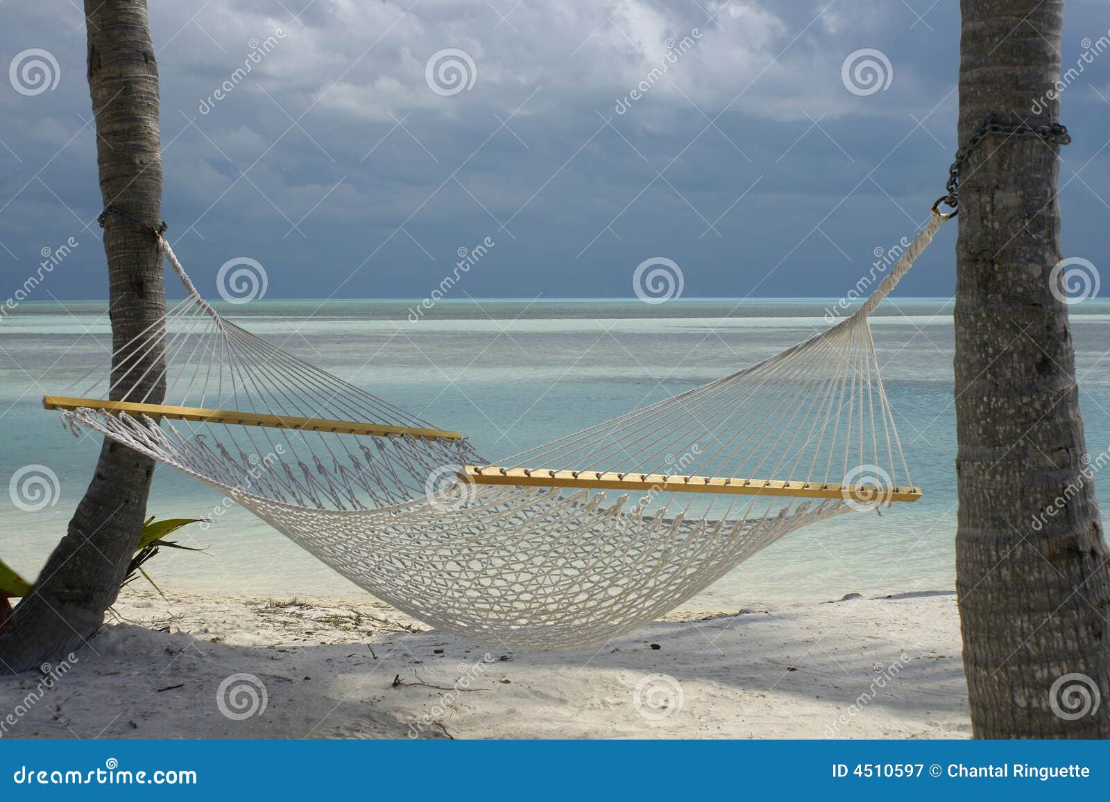 Hamac sur la plage image stock. Image du tropical, arbres - 4510597