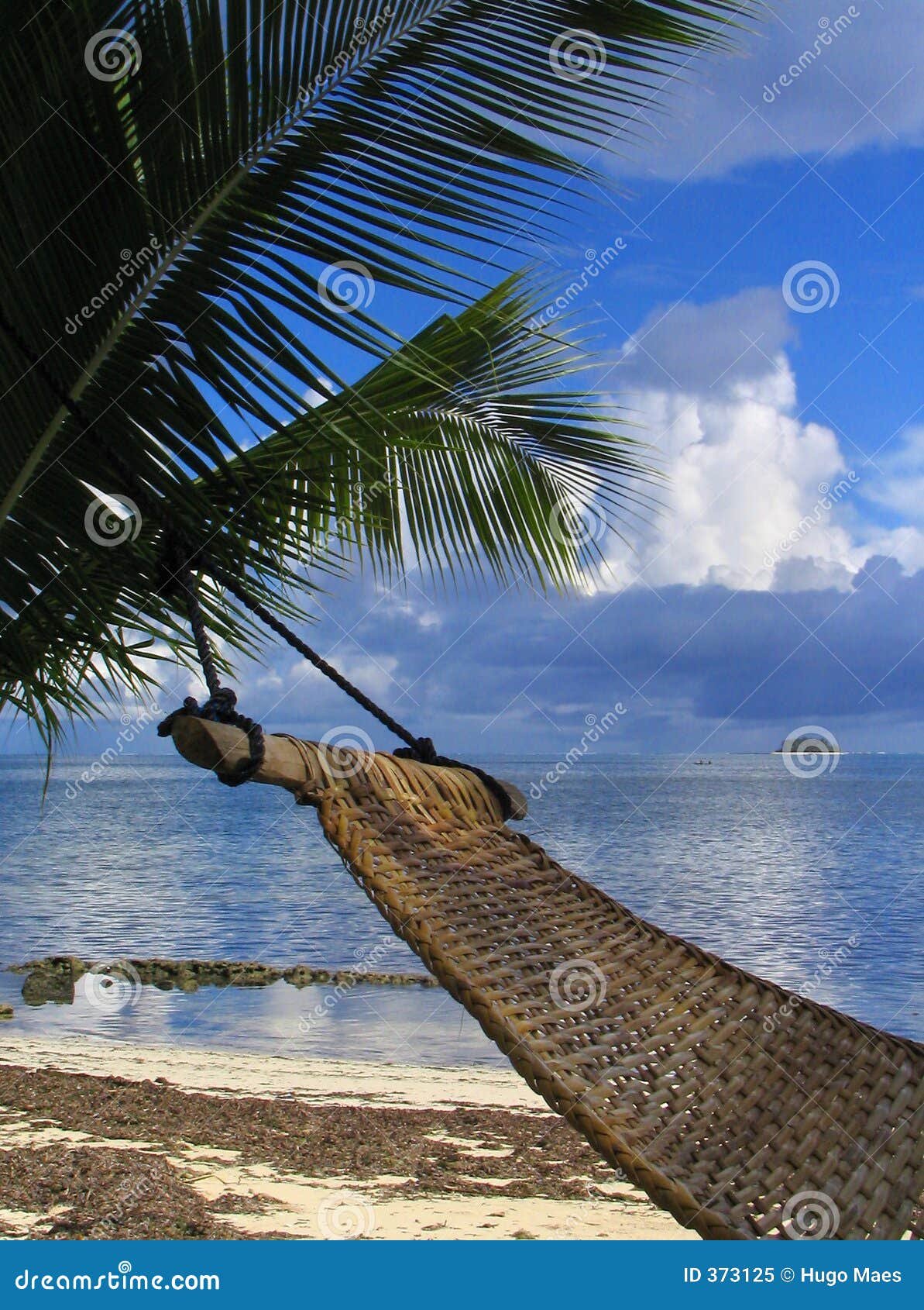 Hamac Sur La Plage Tropicale Image stock - Image du paisible, ressource ...