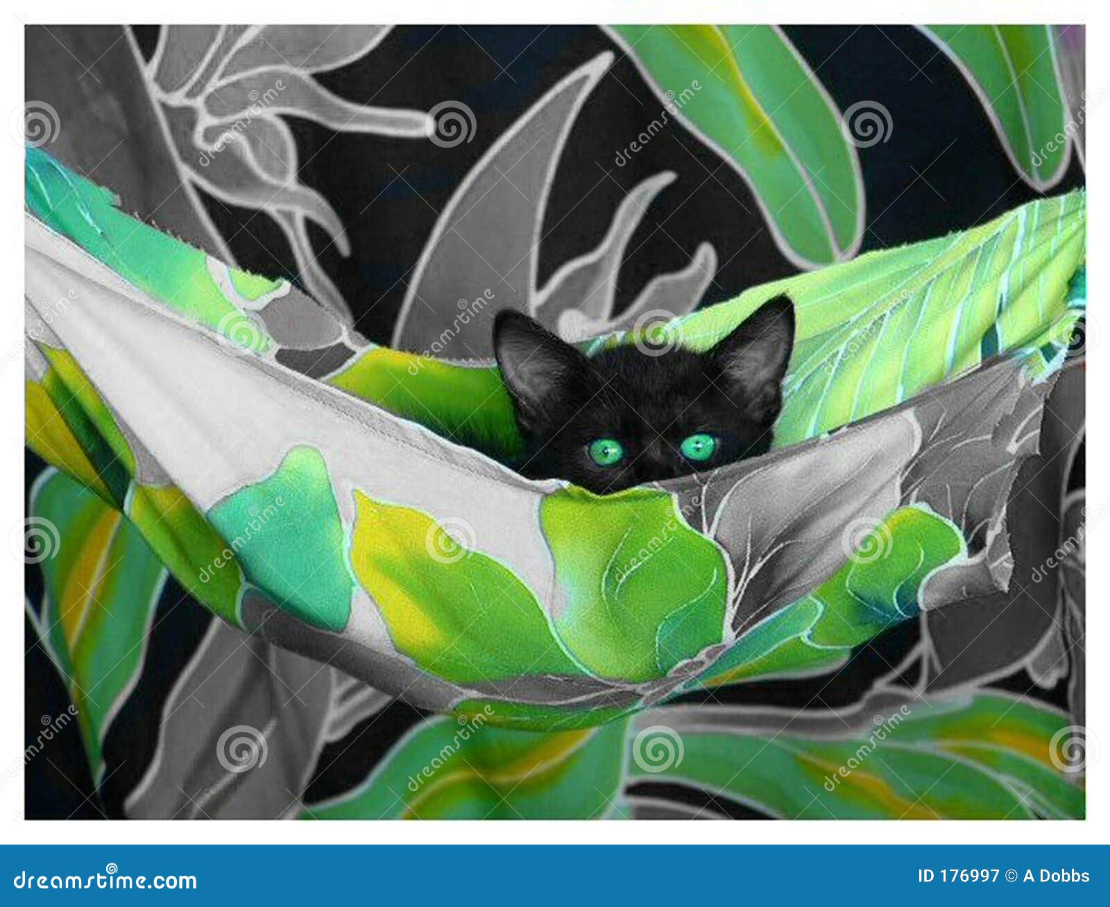 Hamaca imagen de archivo. Imagen de negro, gatitos, gatos - 176997