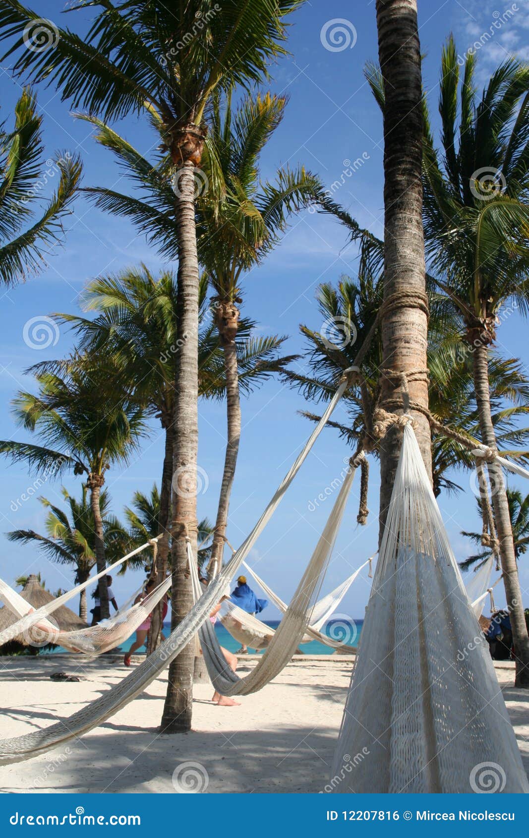 Hamacs auf dem Strand stockfoto. Bild von küstenlinie - 12207816