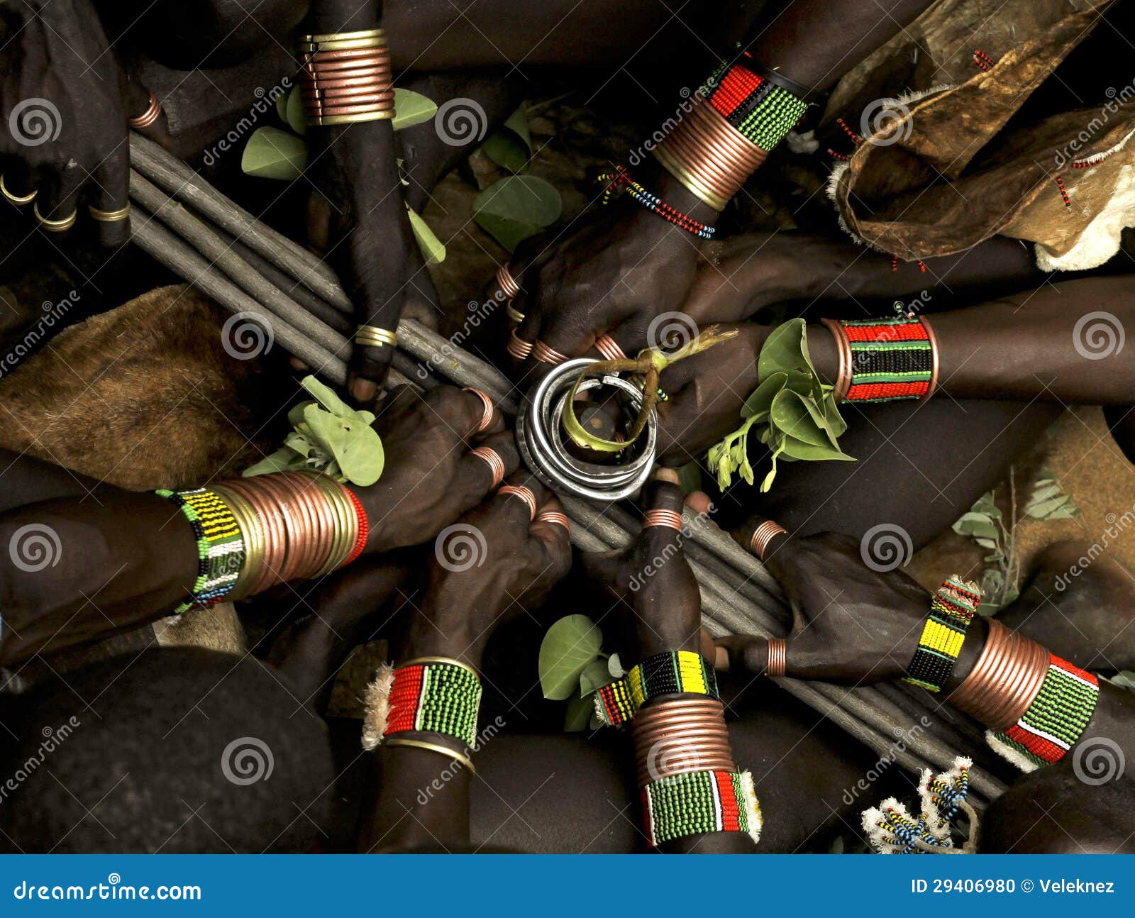 Hamar Tribe - Bull Jumping Ceremony Editorial Image - Image of palm ...