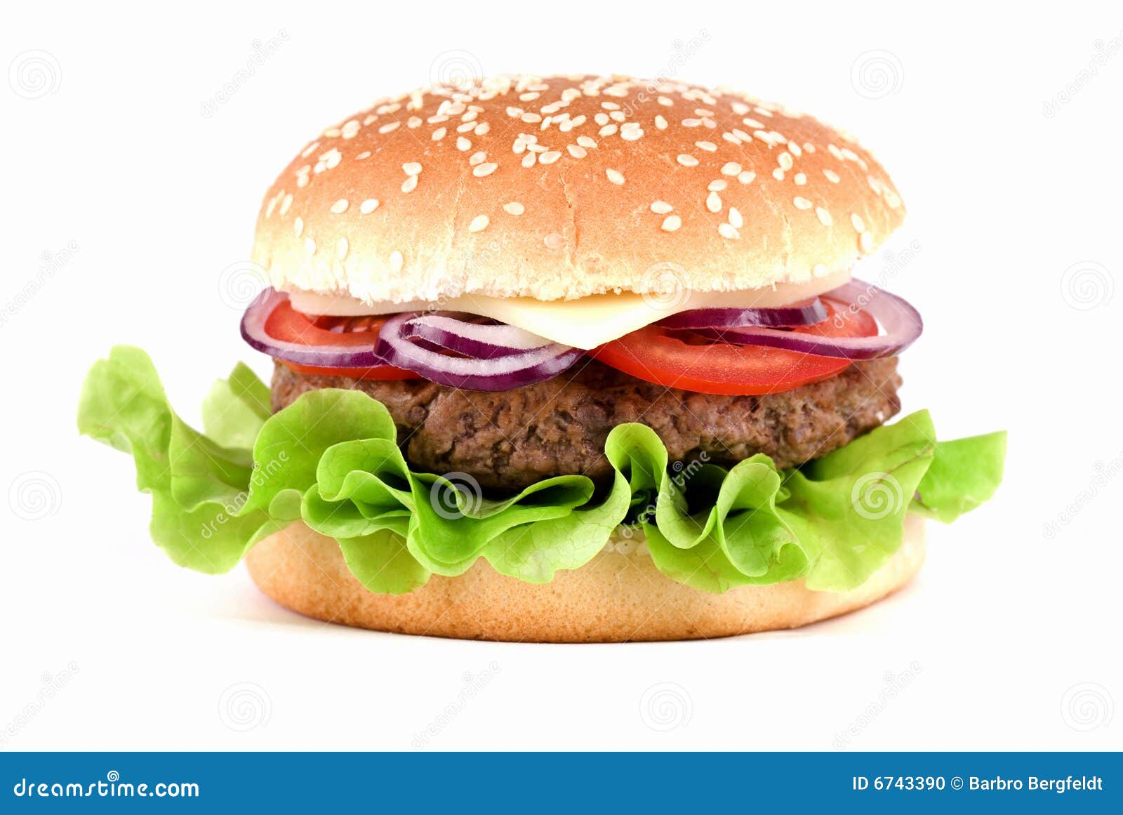 Hamburger stock photo. Image of dinner, meal, lettuce - 6743390