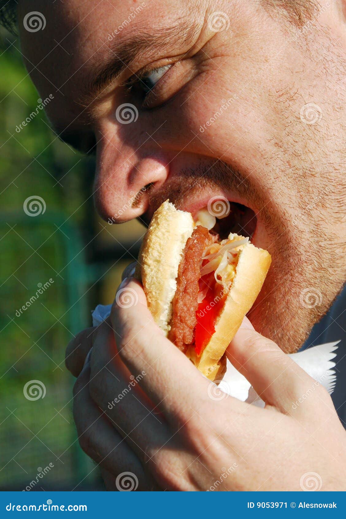 Hamburger stock image. Image of mouth, food, macro, face - 9053971