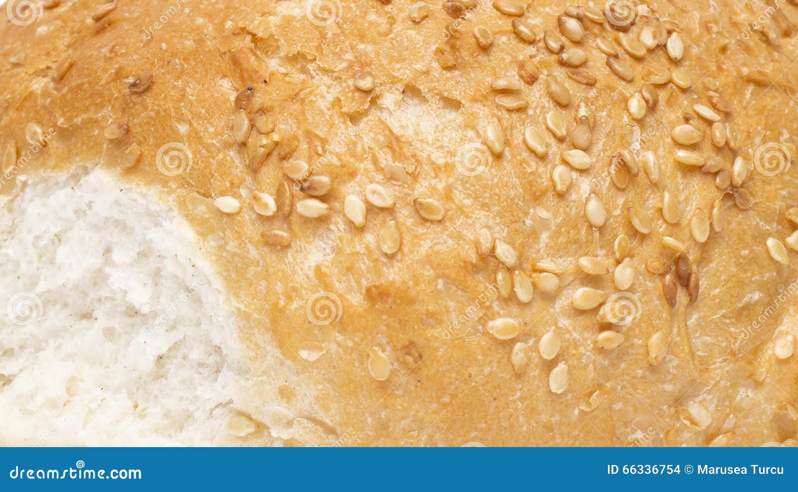Hamburger bun texture stock photo. Image of burger, food - 66336754