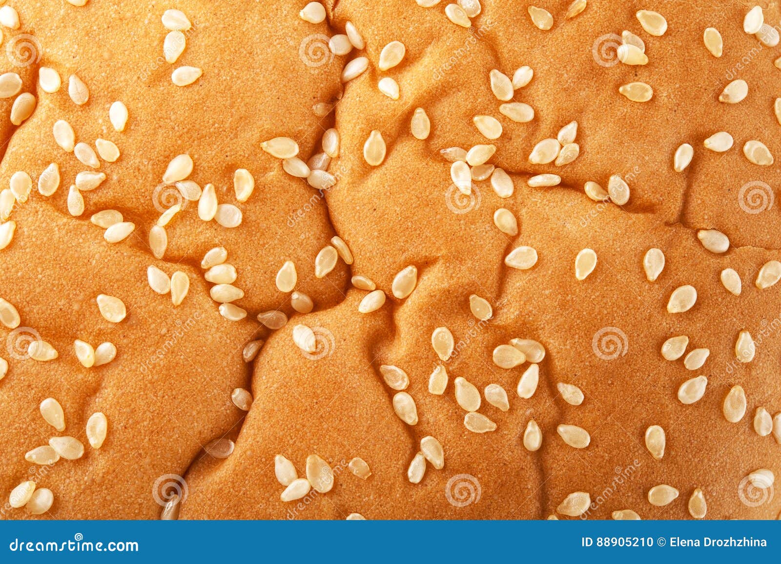 Hamburger bun texture stock photo. Image of gourmet, burger - 88905210