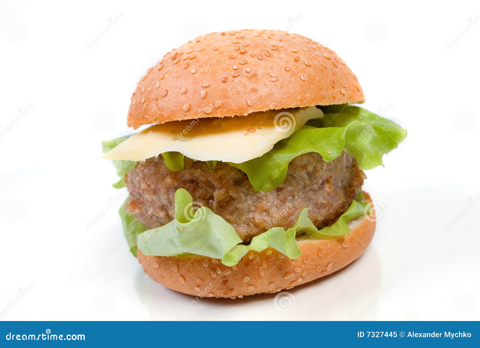 Hamburger close-up stock image. Image of grilled, salad - 7327445