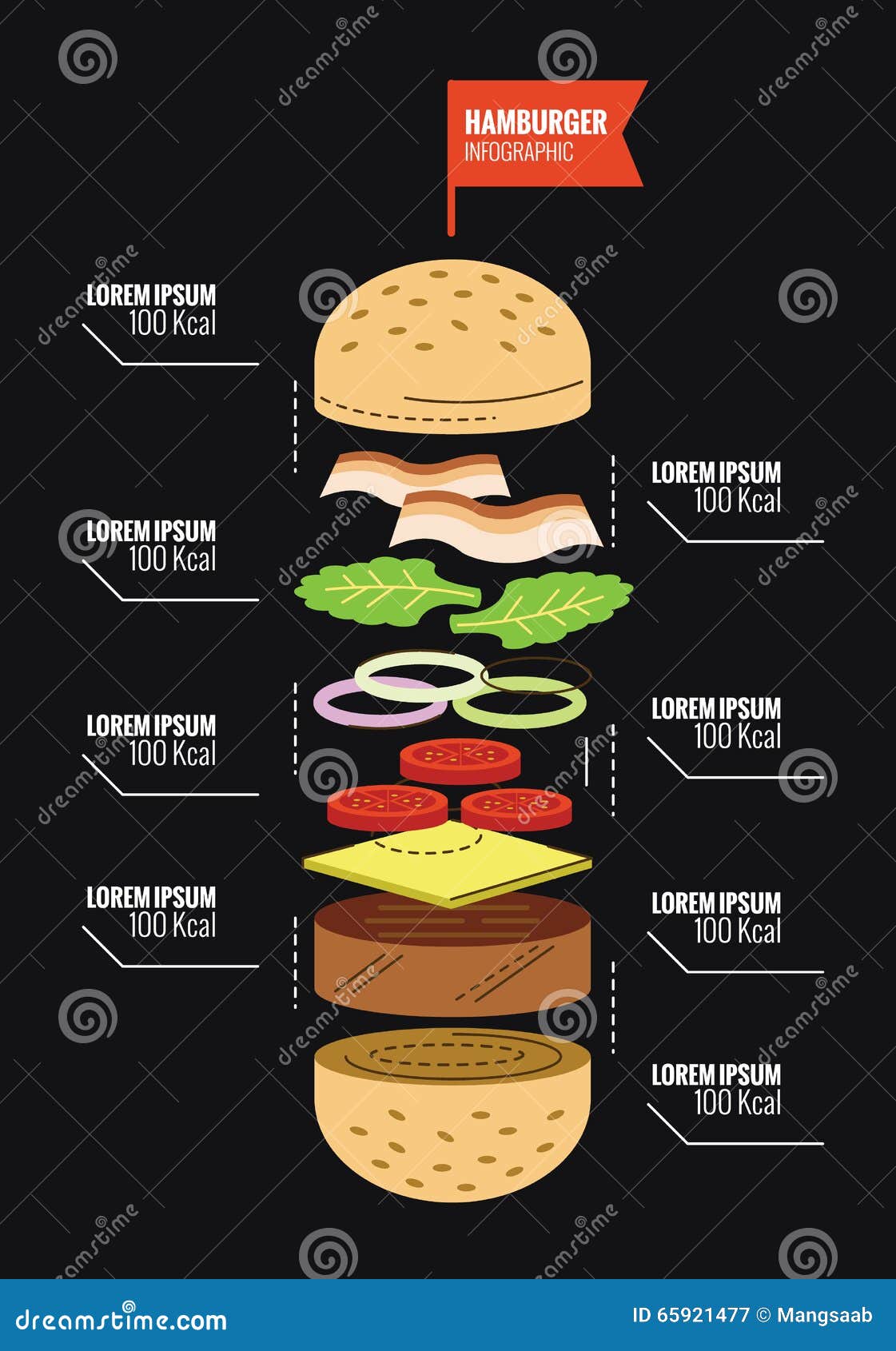 Hamburger Ingredient and Calorie Info Graphics. Stock Vector ...