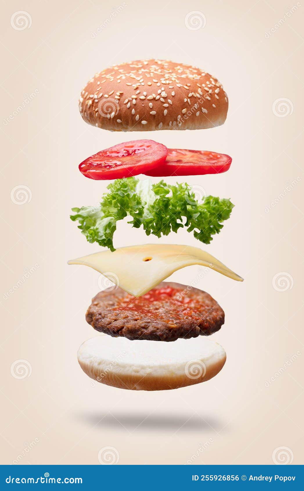 Hamburger Ingredients on Black Background Stock Photo - Image of studio ...