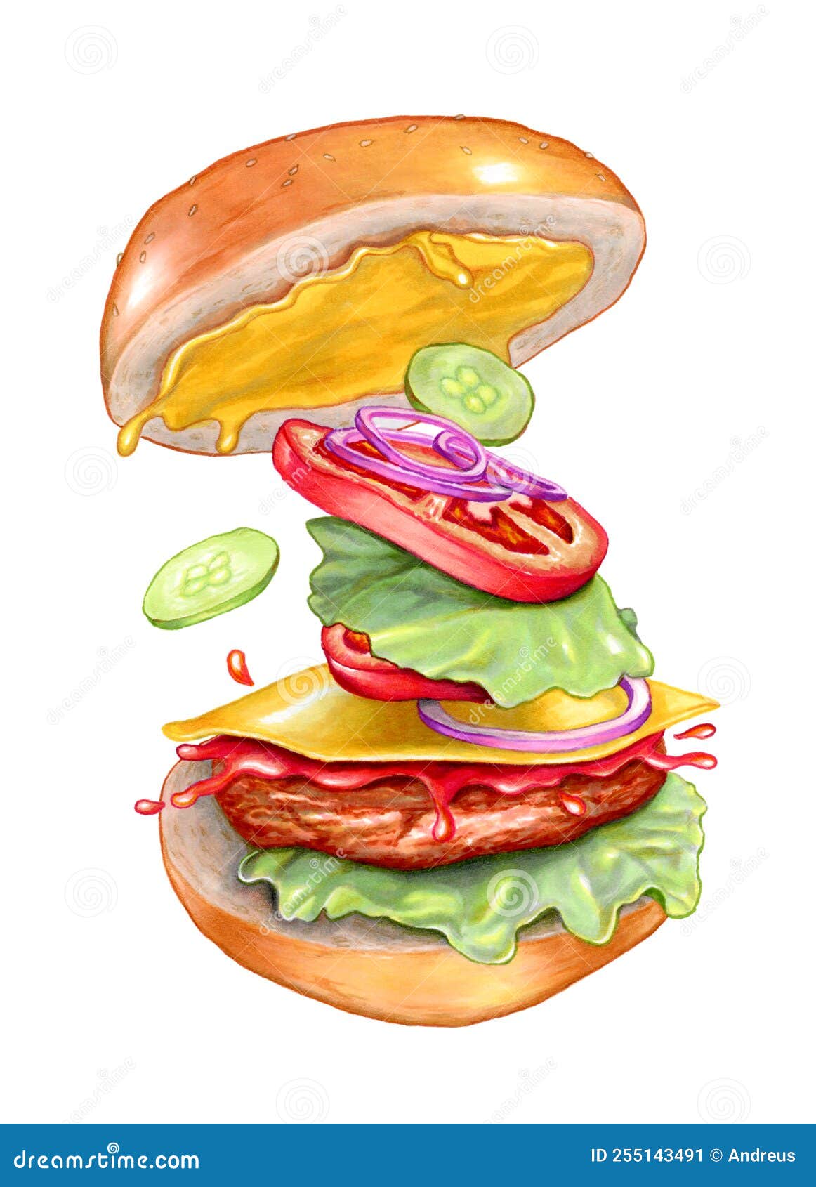 Hamburger Ingredient Layers Stock Illustration - Illustration of food ...