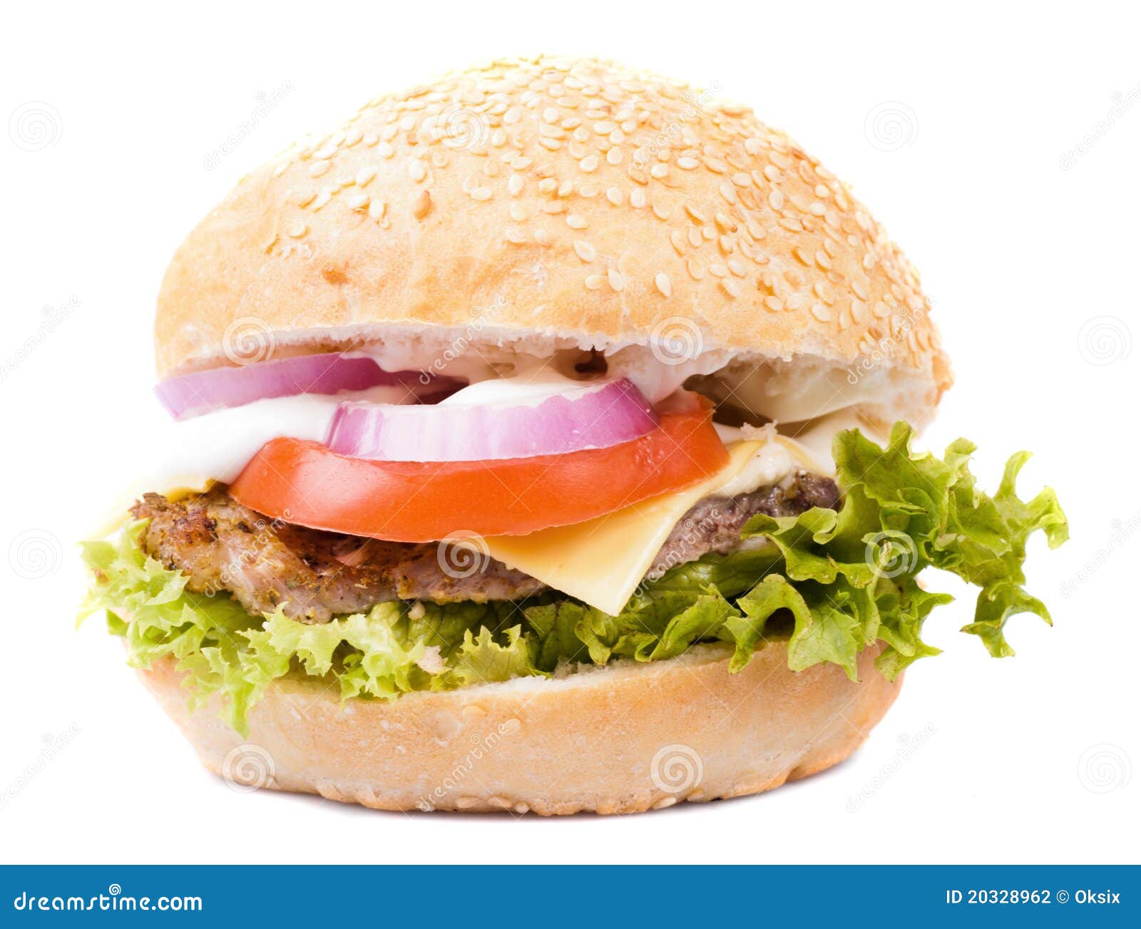 Hamburger isolated stock photo. Image of meat, portion - 20328962