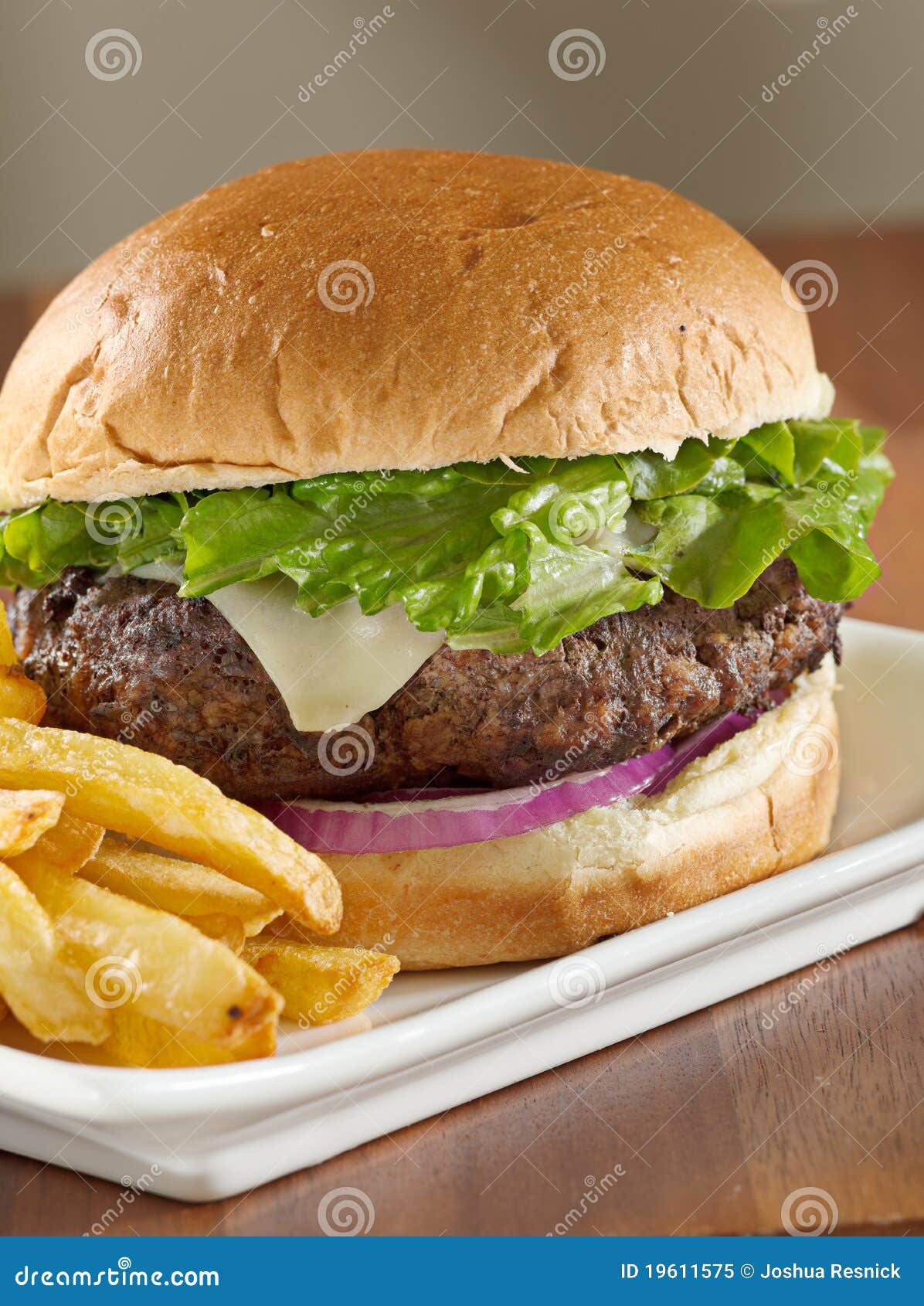 Hamburger Plated with Fries Closeup Stock Image - Image of slice ...
