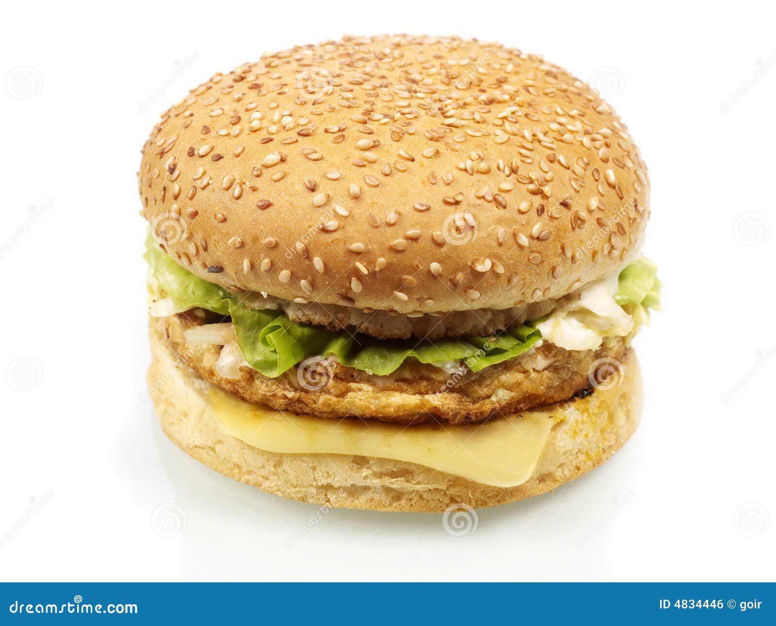 Hamburger on white stock photo. Image of lettuce, meat - 4834446