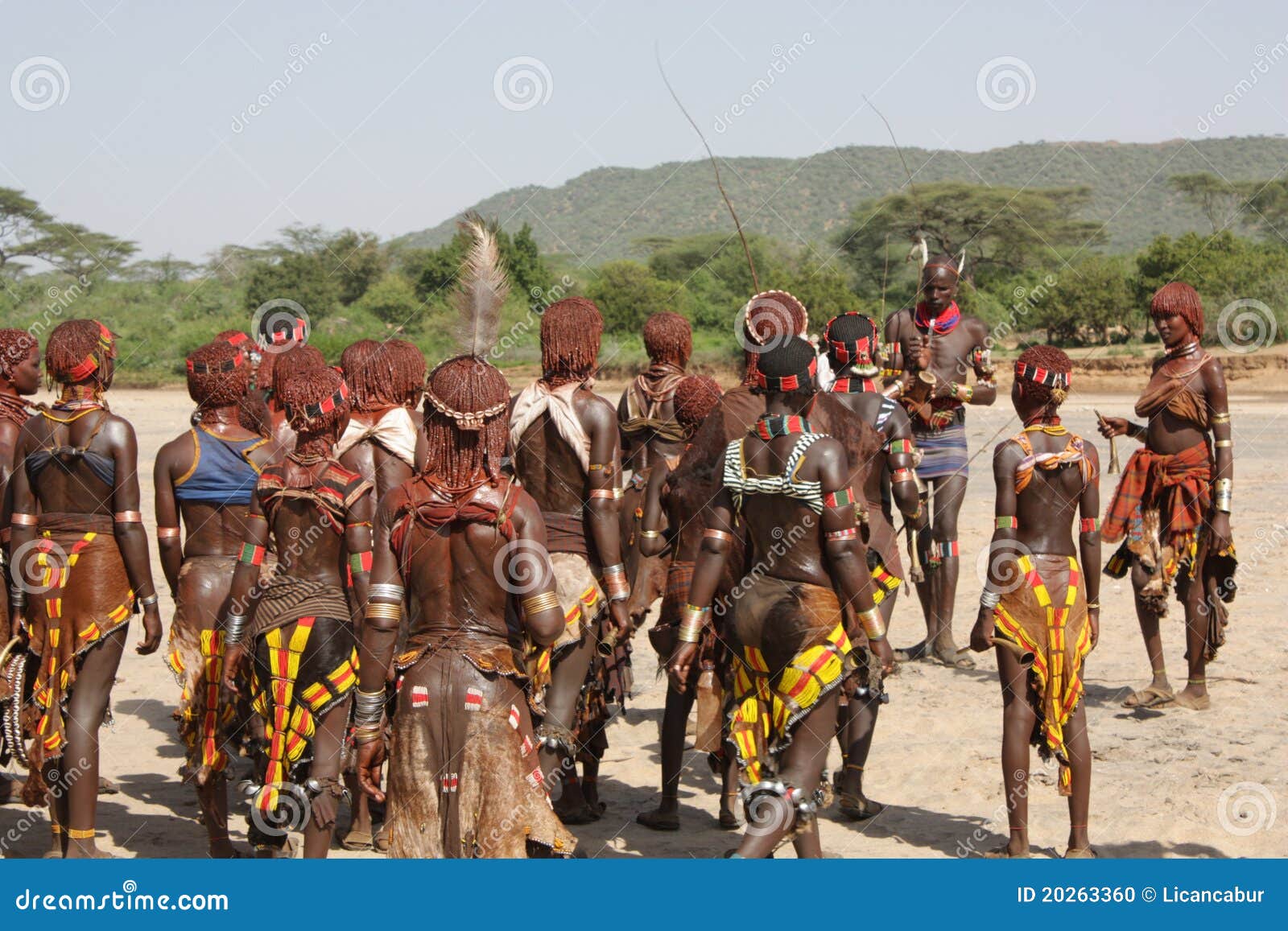 Hamer people ethiopia editorial image. Image of woman - 20263360