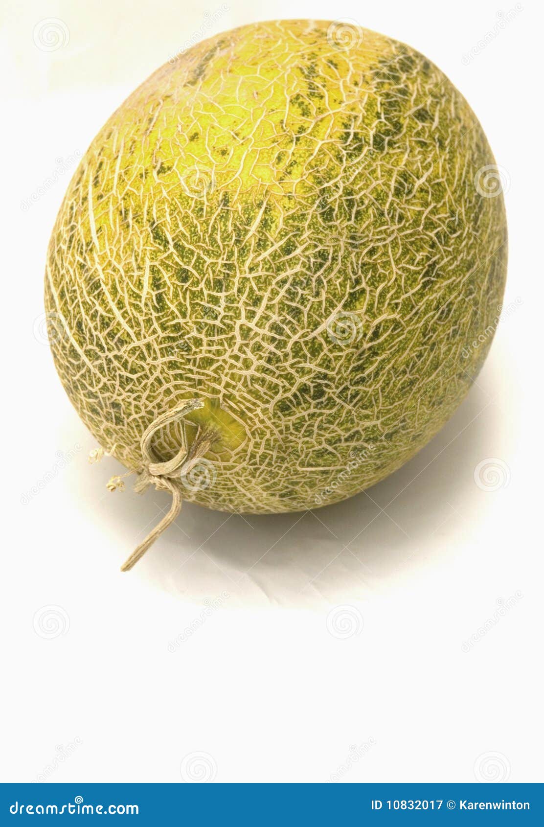 Hami melon stock image. Image of tropical, edible, melon - 10832017