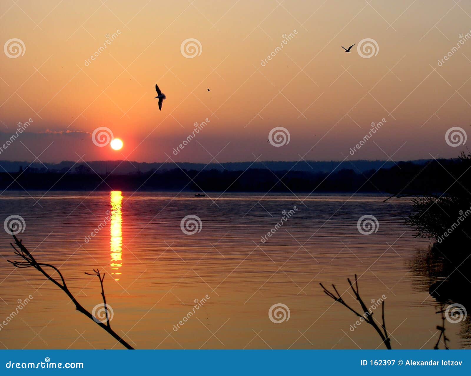 Hamilton Bay stock image. Image of cloud, seagull, night - 162397
