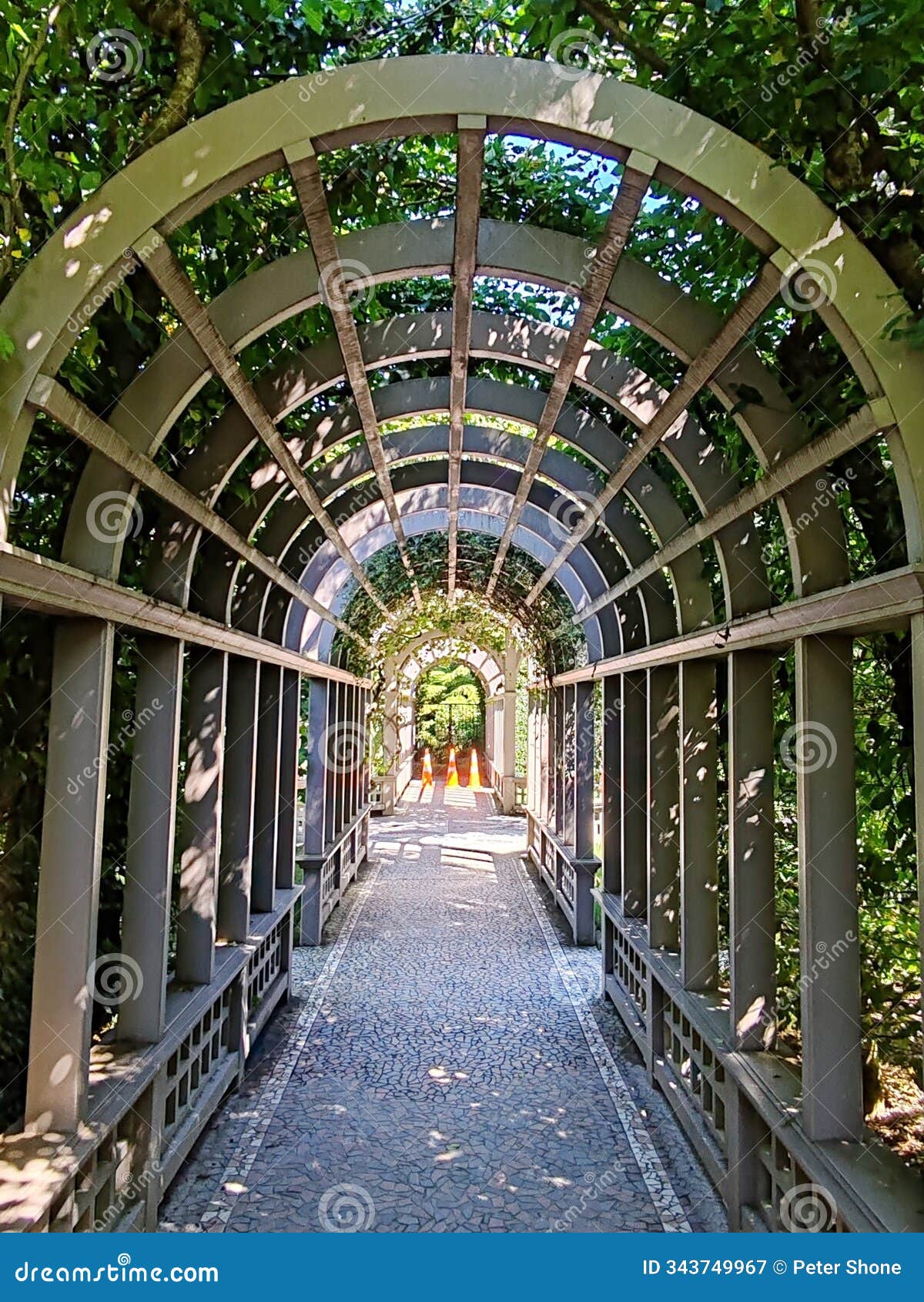 Hamilton Gardens Covered Walkway Arch Path Stock Image - Image of arch ...