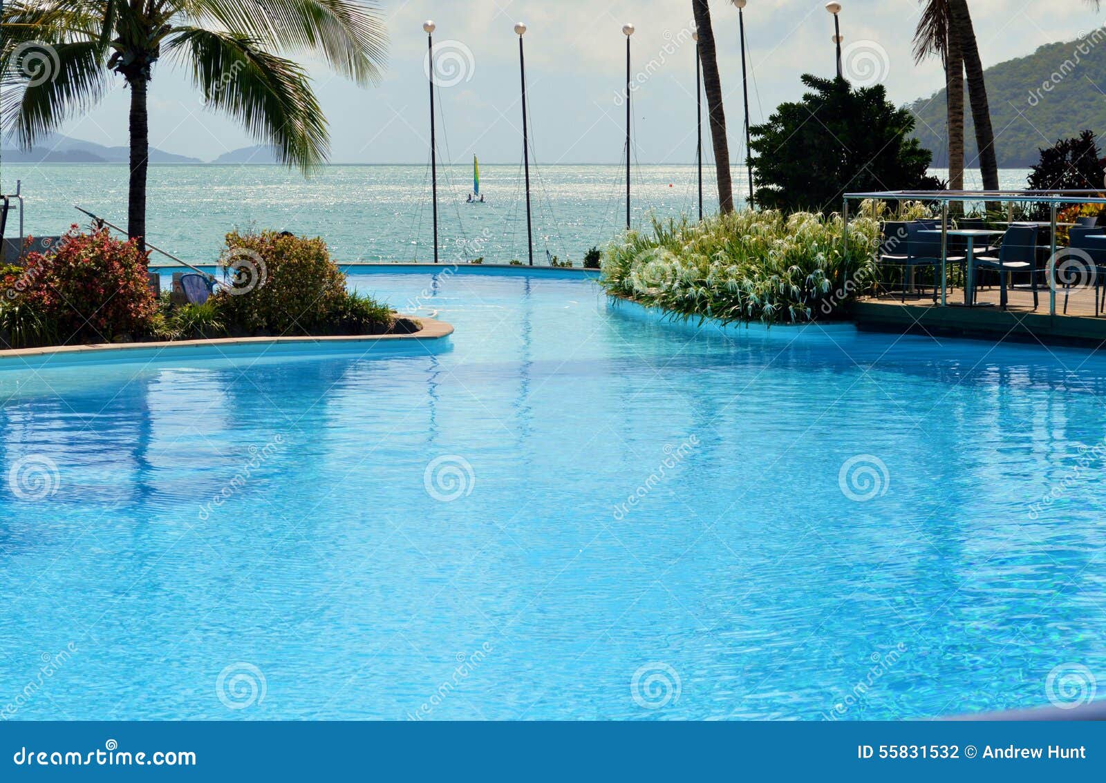 Hamilton Island Pool stock photo. Image of ocean, destination - 55831532